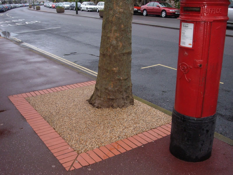 Pebbo | Resin Bound Permeable Paving | Tree Pits
